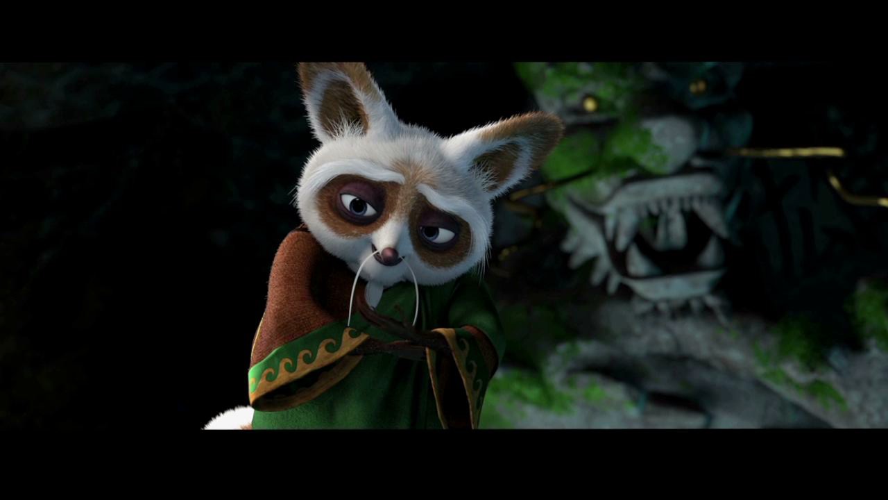 Shifu Kung Fu Panda Inner Peace